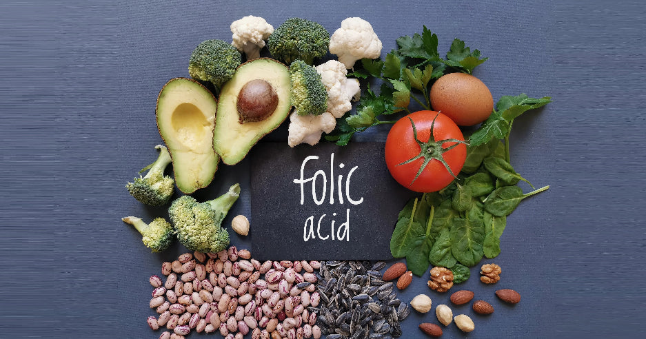 Discover Vital Role of Folic Acid For Well-Being | Herbiotics